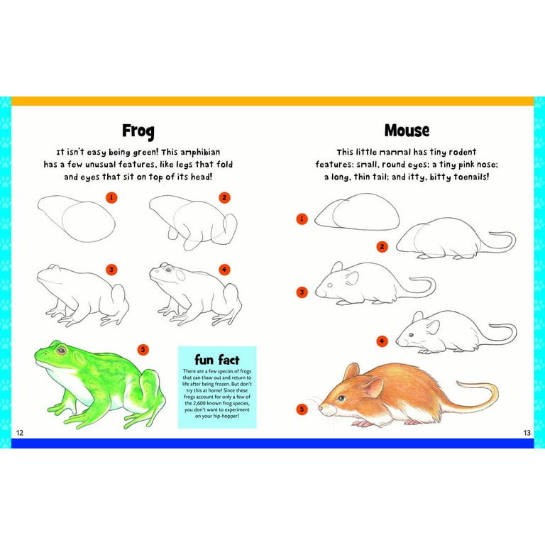 How To Draw A Real Mouse