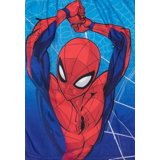 Marvel Spider-Man Peter Parker Boys Swim Trunks - Bathing Suit Swim ...