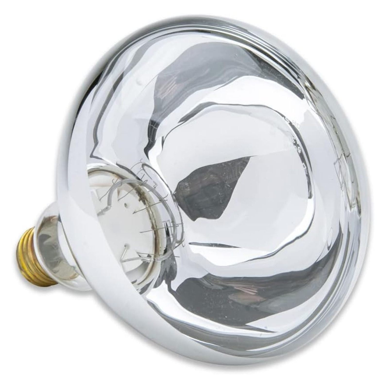 500w R40 Pool Light Bulb | Shelly Lighting