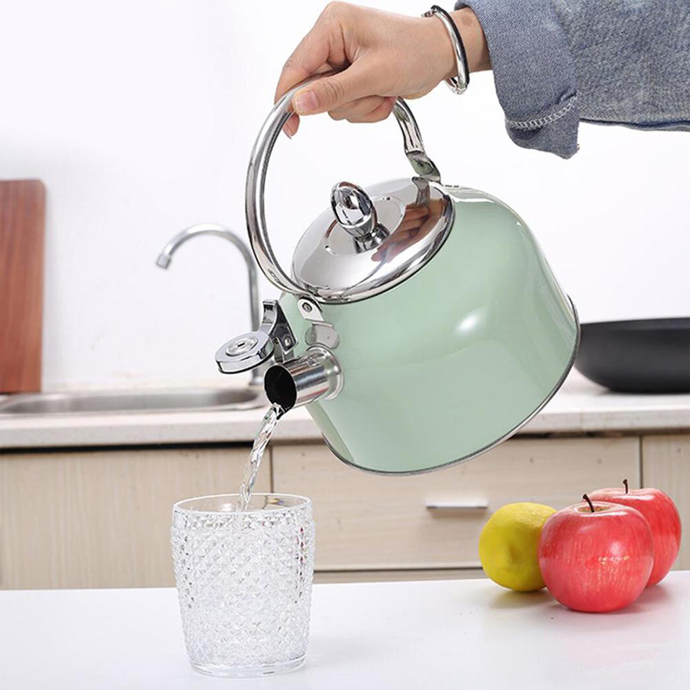 Yipa 2.5 Liters Whistling Tea Kettle Green Stainless Steel Kitchen Tea ...