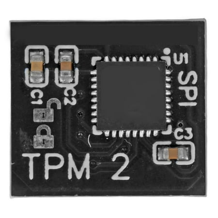 Loewten TPM 2.0 Module SPI 12Pin Remote Card Encryption Security Board Accessory For GIGA,TPM 2. ...