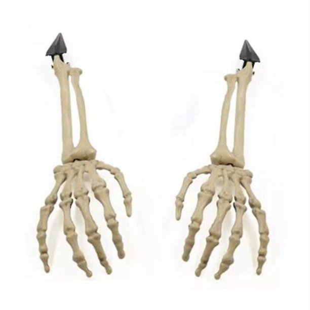 Skeleton & Posable, Skeleton Skeleton, Model Plastic Skeleton, Movable ...