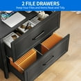 Dextrus 2-Drawer Lateral File Cabinet for Home Office , Large Filing ...