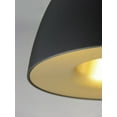 ET2 Lighting E24914-BKSBR 16 in. Fungo LED Pendant in Black & Satin Brass - Walmart.com