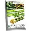 Italian Striped Zucchini Summer Squash Garden Seeds - 1 Lbs - Non-GMO ...