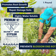 Diamond K Gypsum Powder, Soluble Fertilizer for Plants, Indoor Outdoor ...