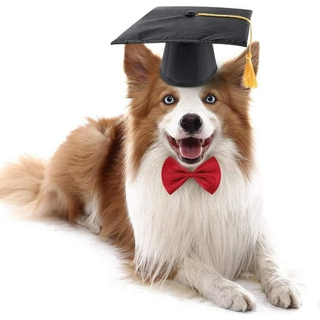 Dog Graduation Cap and Bow Tie Outfit Set Graduation Party Dress ...