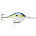Rapala DT Custom Ink 20 - Walmart.com