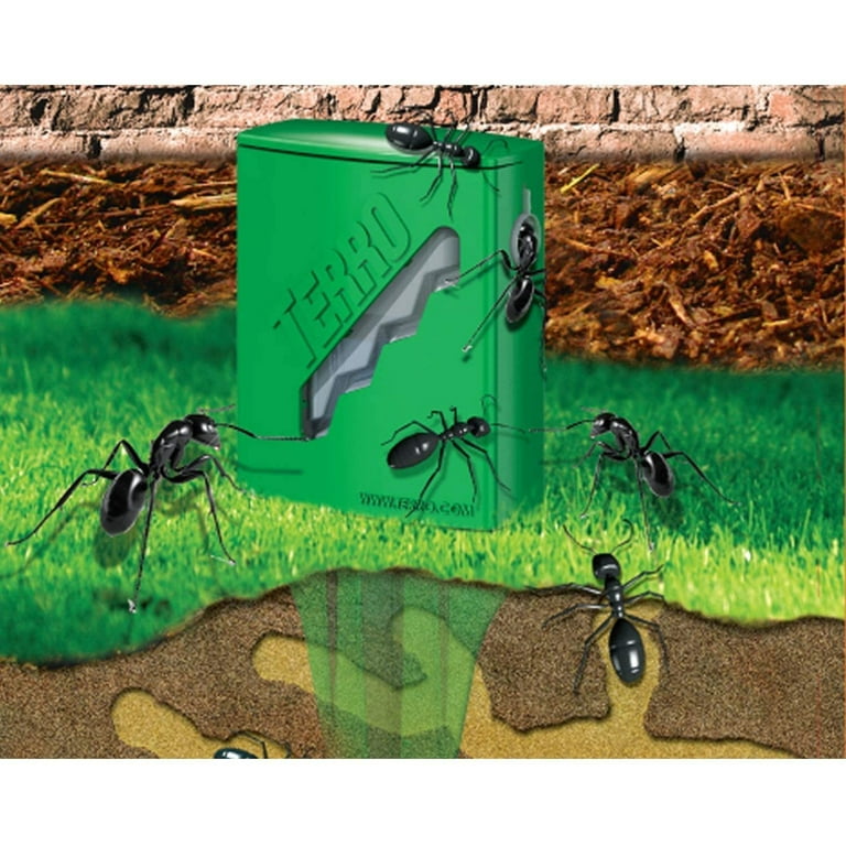 Outdoor ant killer store