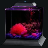 KollerCraft 1.5-Gallon Betta Fish Aquarium Kit - Walmart.com