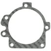 Atwood 90960 Flue Box and Gasket Assembly - Walmart.com