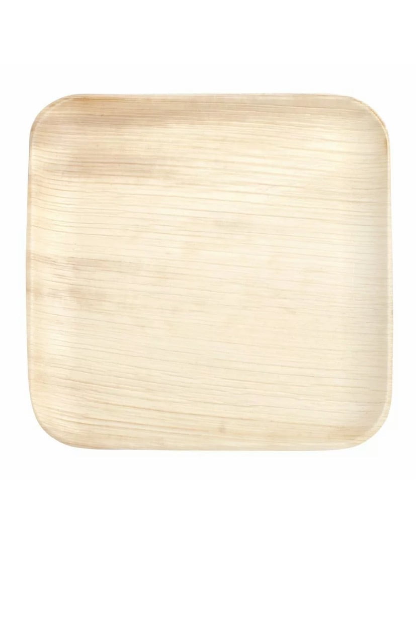 Evolution of Ecology 10 inch Square Plates - Walmart.com