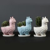 Cute Llama Succulent Planter Pot with Drainage Tray - Walmart.com