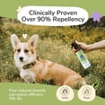 kin+kind Flea and Tick Spray for Dogs, Vet Formulated, Lavender Scent ...