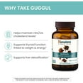 Himalaya Guggul 750mg, Cholesterol & Triglyceride Support Supplement ...