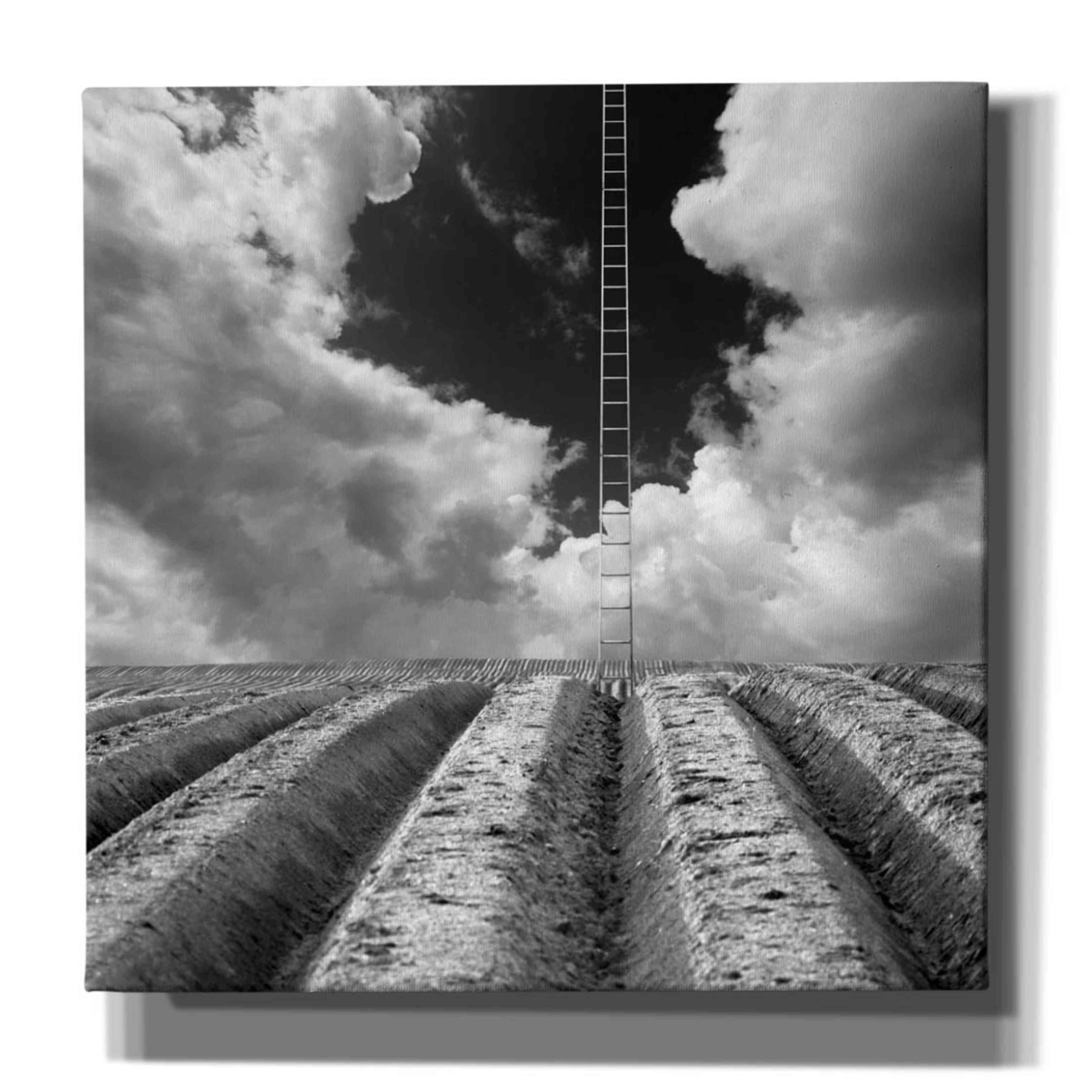 Epic Graffiti 'Jacob's Ladder' by Dariusz Klimczak, Canvas Wall Art, 18 ...
