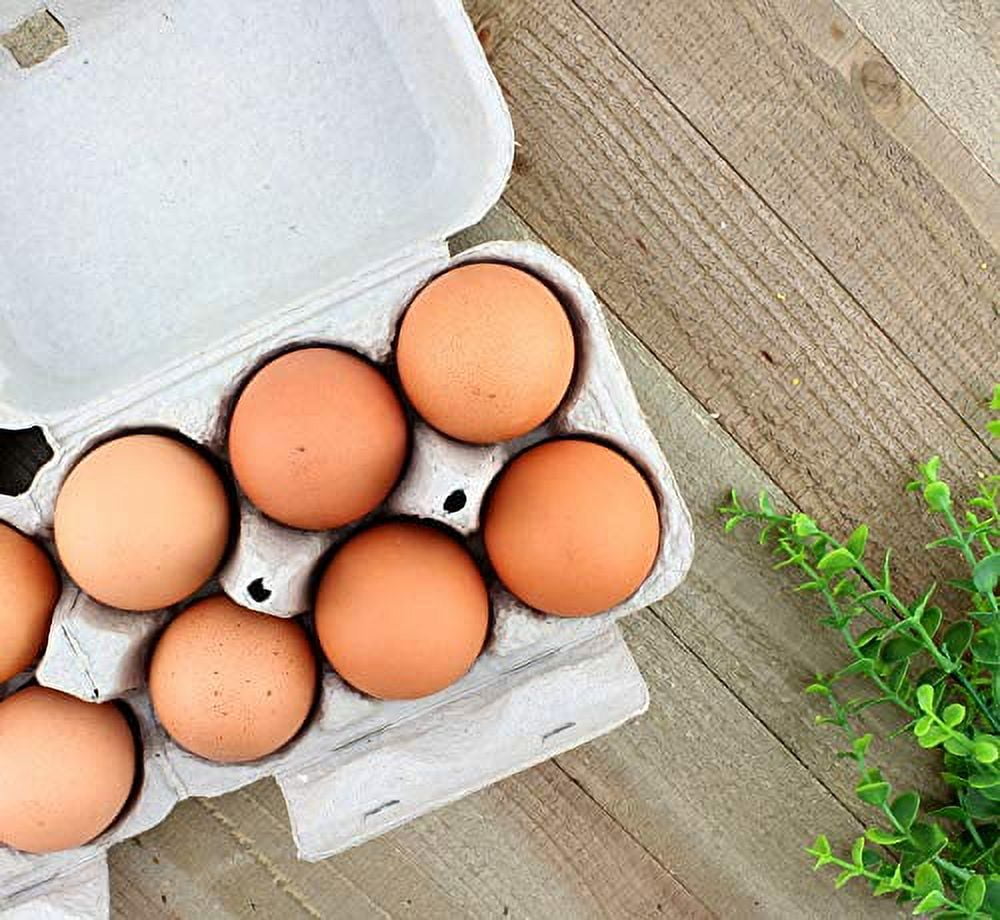 Egg Cartons Cute Cornucopia Brands (30-Pack); Split Apart Style For 6 ...