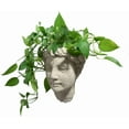 Garden Goddess Bust Wall-Mounted Head Planter, 12-Inch American Made ...