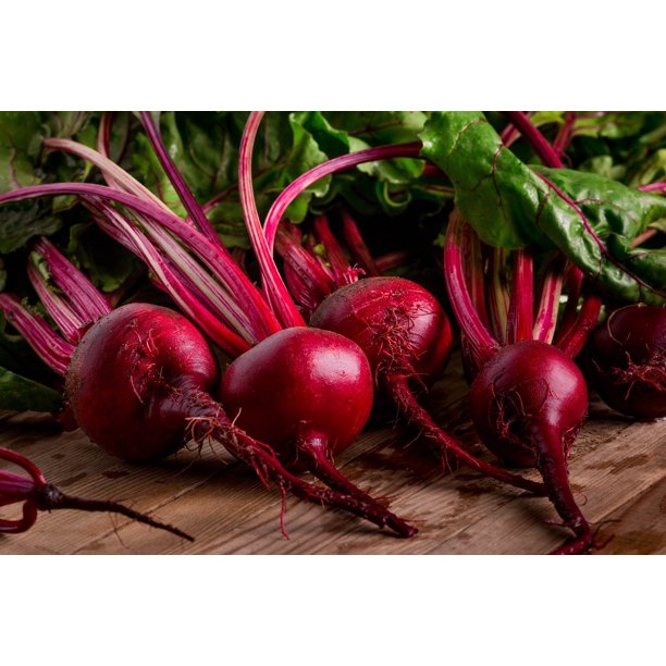 Red Ace Improved Beet Pickling Pickled Heirloom Premium Seeds Packet ...