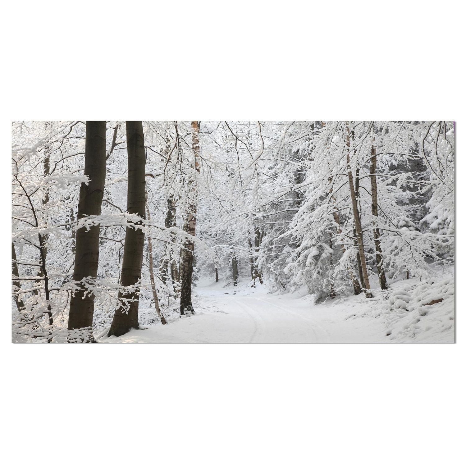 Click here for Designart Dense Winter Forest And Lane Canvas Wall... prices