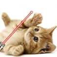 BESTSKY 2026 New 2Pcs Cat Laser Pointer Toy Compact and Sturdy Laser ...