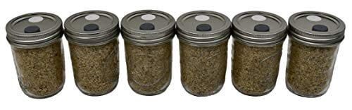 BRF Jars Brown Rice Flour Mushroom Substrate 6 Pack Outdoor & Gardening ...