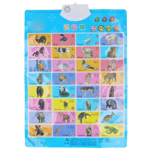Educational Poster Chart,Animal Learning Poster Double Educational Wall ...