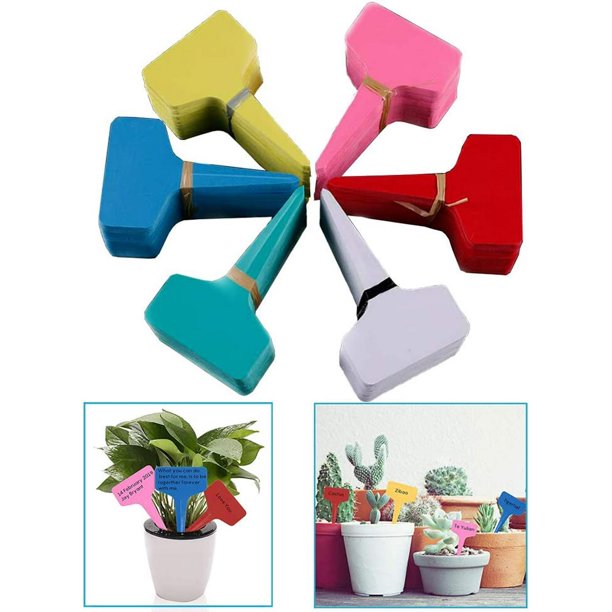 Hongchun Plant Markers & Labels Cheese Labels Garden Sign Vegetable ...