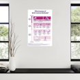 Contraceptive Methods Birth Control Options Poster Physiological ...