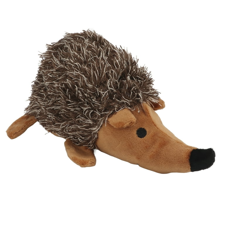 Toys For Hedgehogs To Play With