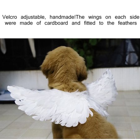 Pet Halloween Feather Wings Pet Halloween typical pet Costume Cosplay ...