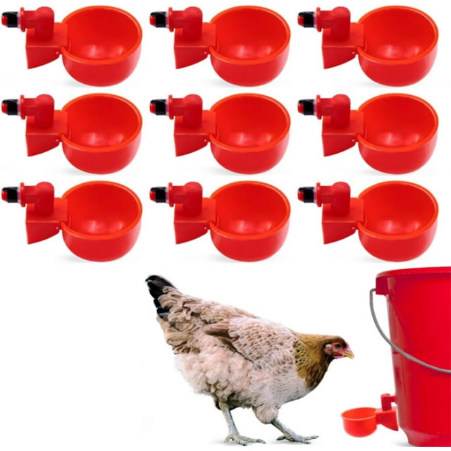 Chicken Drinking Trough - Chicken Drinker - Automatic Chicken Drinker ...