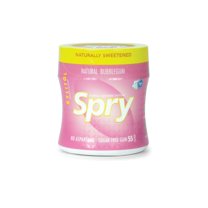 Spry Cinnamon Chewing Gum 100 Ct Jar, Xylitol Sugar Free, Dental Care ...