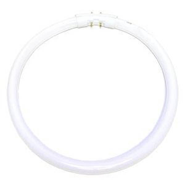 Hygrade Satco S8155 22 Watt T5 Circline Fluorescent 3000K Warm White 82 ...