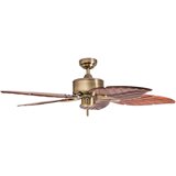 Prominence Home Willow View 52" Aged Brass Tropical Ceiling Fan with 5 ...