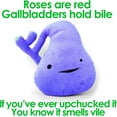 Gigantic Gallbladder Plush: You've Got Gall! - Walmart.com