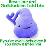 Gigantic Gallbladder Plush: You've Got Gall! - Walmart.com