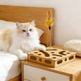 Pet Toys Cat Scratch Puzzle for Indoor Cats - Rich Fast Face Grinder ...
