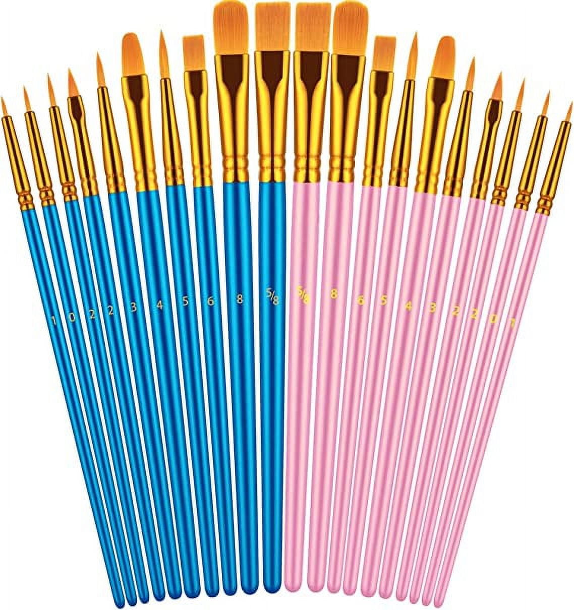 Xiao Hua Juego de 20 pinceles para pintura acrílica, acuarela, óleo ...