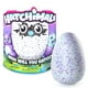 Hatchimals - Hatching Egg - Interactive Creature - Burtle - Purple/Teal ...