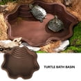 Turtles Bath with Step Amphibians Feeding Bowl Climbing Sun Terraces ...