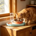 Blue Non-Slide Base 2 In 1 Pet Feeder For Cats Raised With Stainless ...