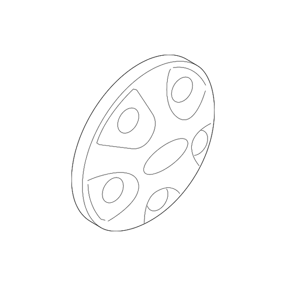 Ford F250 Center Caps