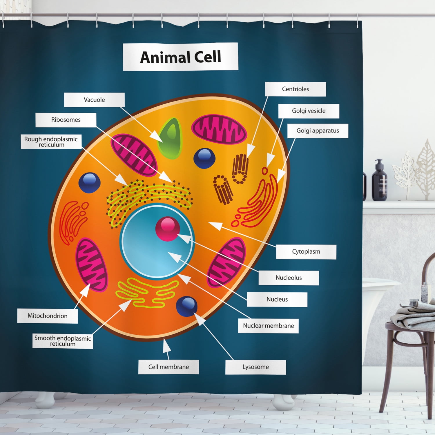 Ambesonne Science Shower Curtain, Science at, 69"Wx84"L, Multicolor ...