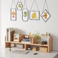 Black-3 Hanging Pressed Flower Frames 3-Pack Double Floating Picture ...
