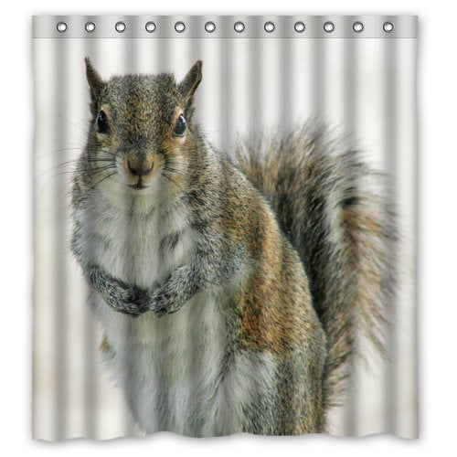 Click here for Yusdecor Funny Squirrel Animal Waterproof Shower C... prices