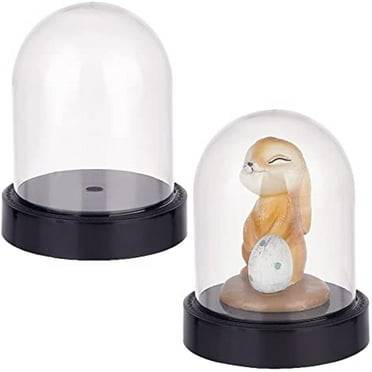 Large Acrylic Plastic Dome Display Case with Clear Base, 7-1/2-inch ...
