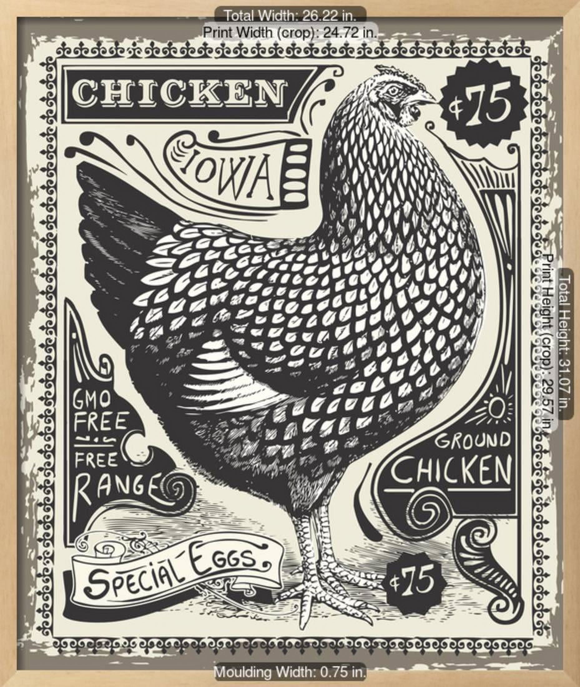 Vintage Chicken Drawings