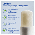 Labello, Lip Balm, Classic Care 0.17 Oz, 2 Pack with Shea Butter ...