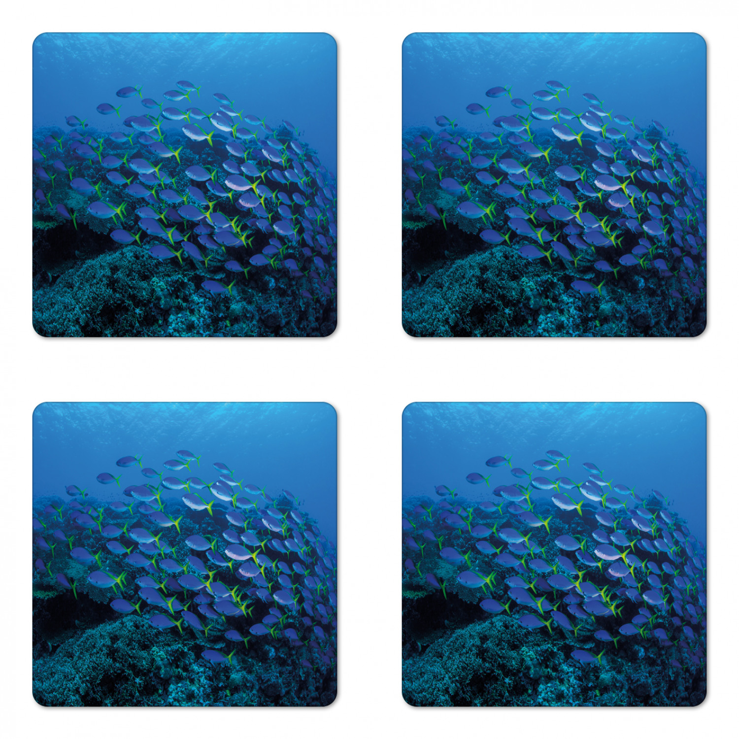 Fish Coaster Set of 4, Shoal of Fish on Stony Plant Animals in ...